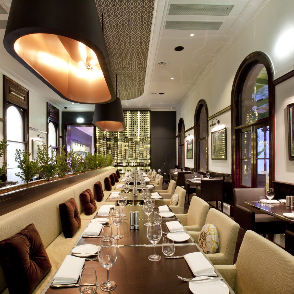 Moo Moo Bar & Grill | Brisbane - Design Clarity | Design Clarity