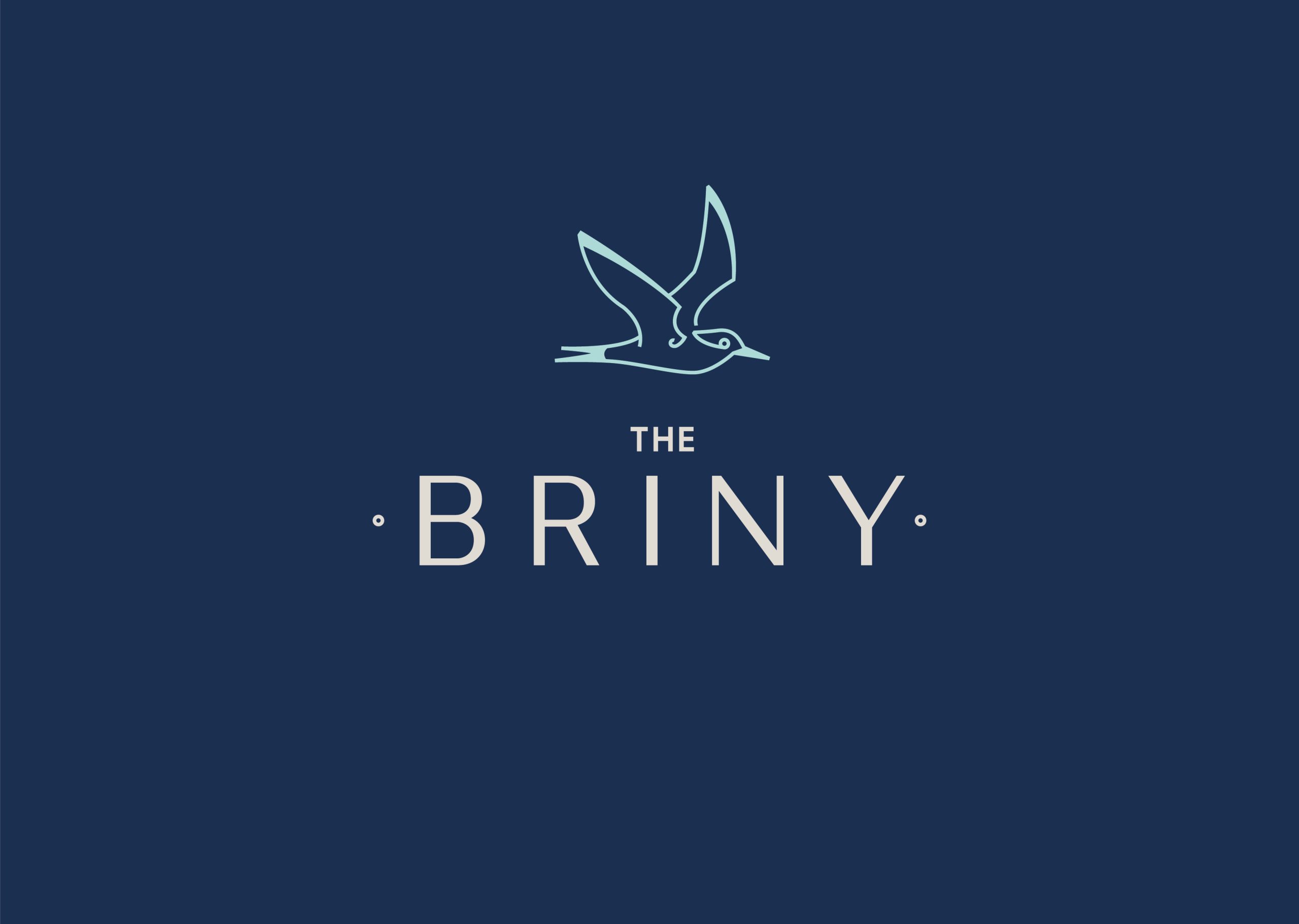 The Briny | Portsmouth - Design Clarity | Design Clarity