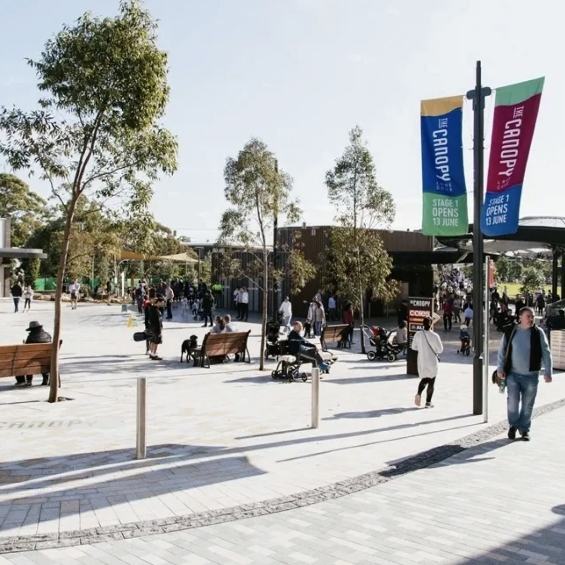 the canopy from the plaza - Design Clarity | Design Clarity