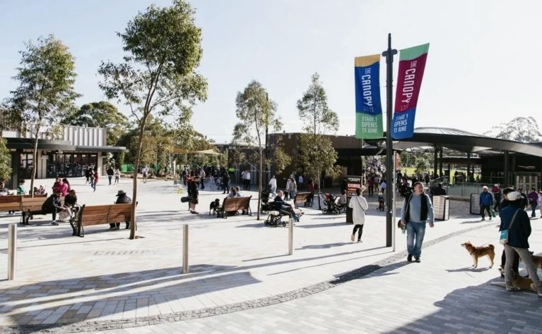 general view from the plaza - Design Clarity | Design Clarity